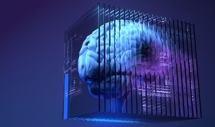 NLP - Natural Language Processing: Degree Guide